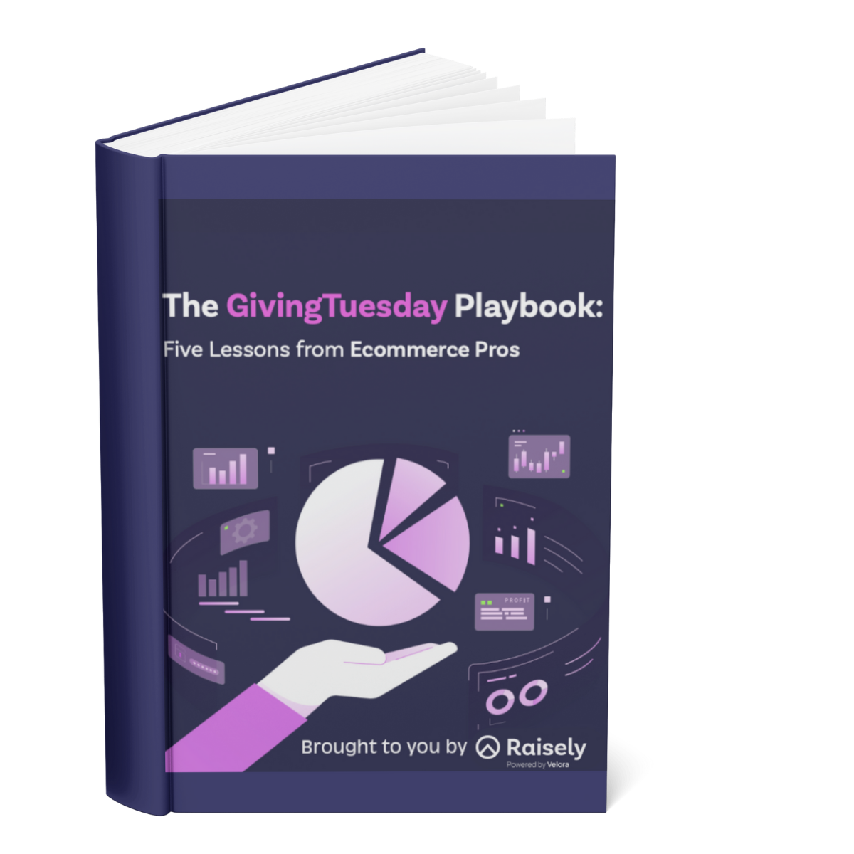 Giving Tuesday Fundraising Guide | 5 Lessons from Ecommerce Pros
